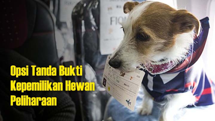 Di Kanagawa Jepang, Kucing dan Anjing Dapat KTP - Koropak.Co.ID